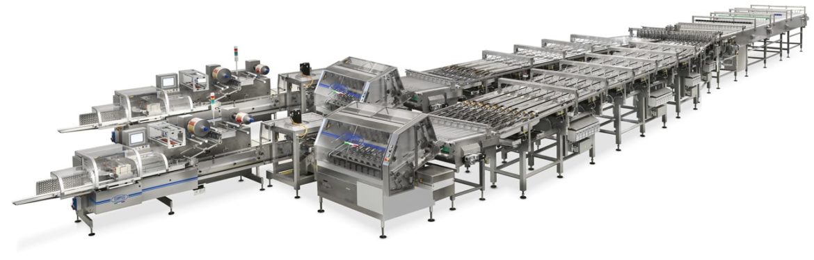 Complete and fully automatic system for high speed packing of crackers ...